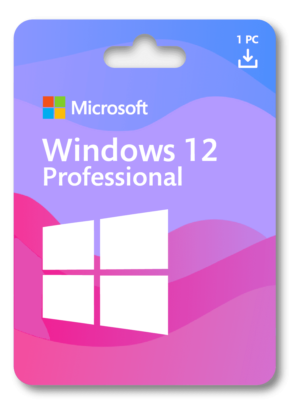 Microsoft Windows 12 Professional